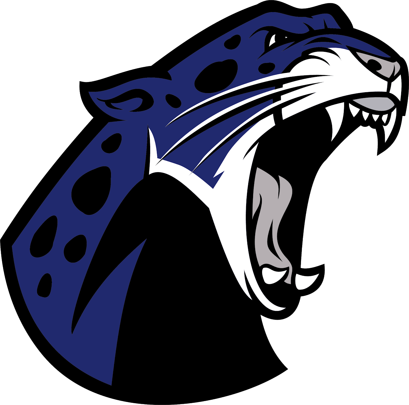 Owen Pan's Portfolio